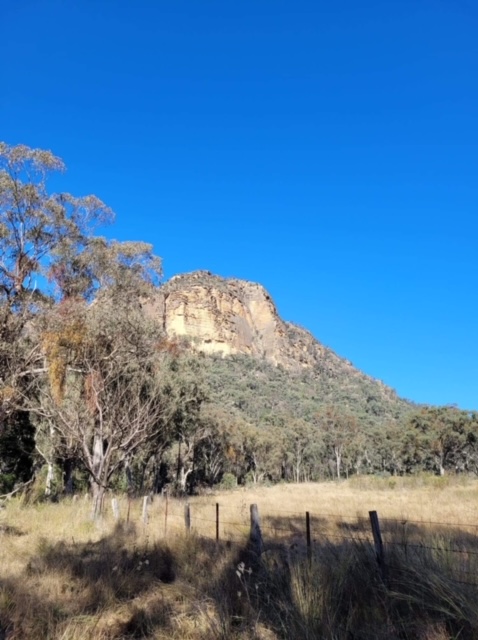 Widden Valley – explore (Report) – Mudgee Bushwalking and Bike Riding ...